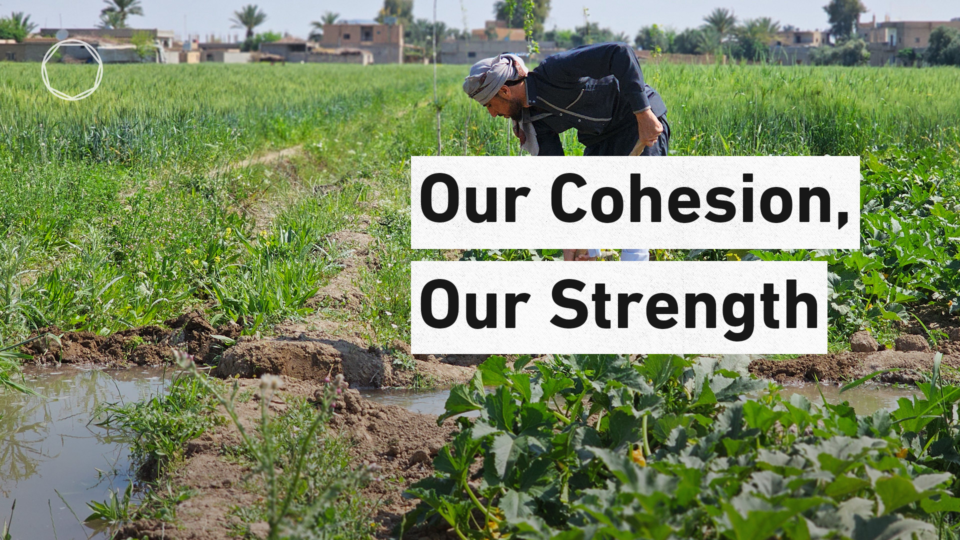 Our Cohesion, Our Strength